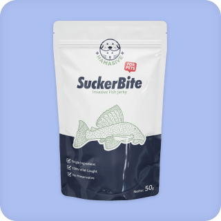 Portfolio - FlexyPack